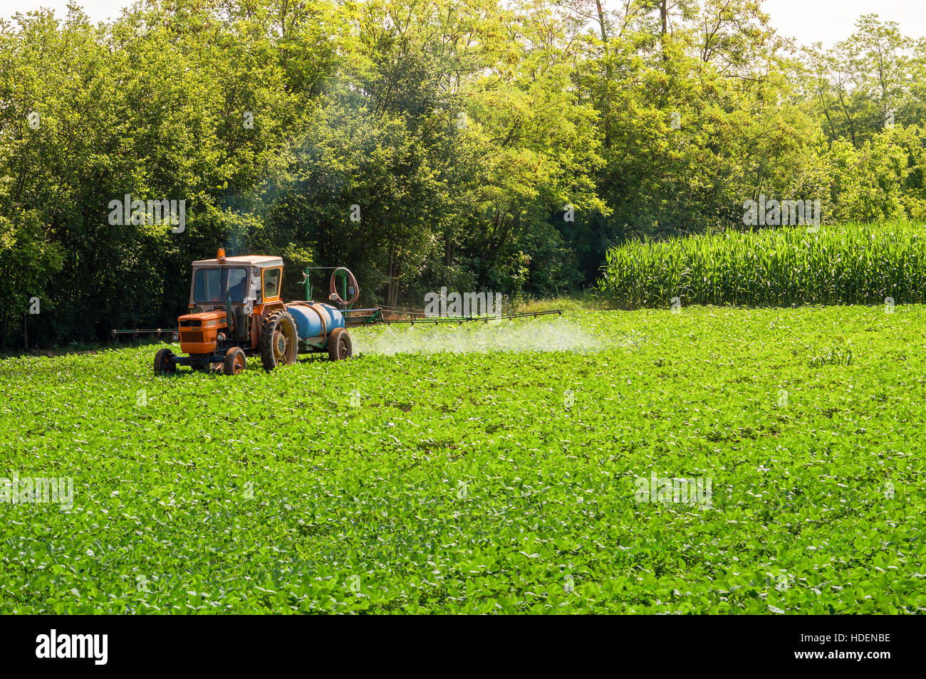 Farmer spraying soybean field with pesticides and herbicides Stock ...