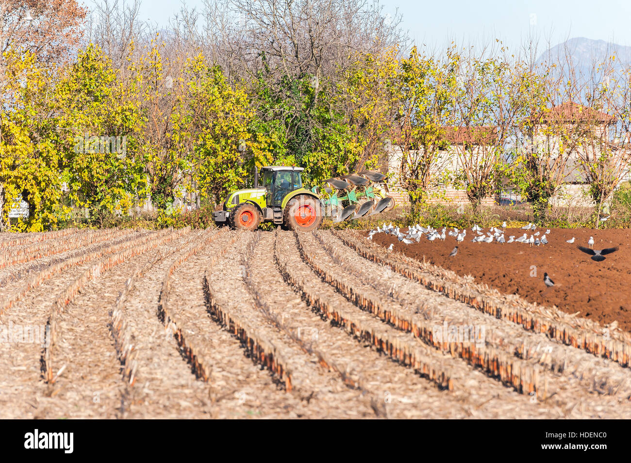 Tractor with plow. Plowing a field.Concept for agriculture business ...