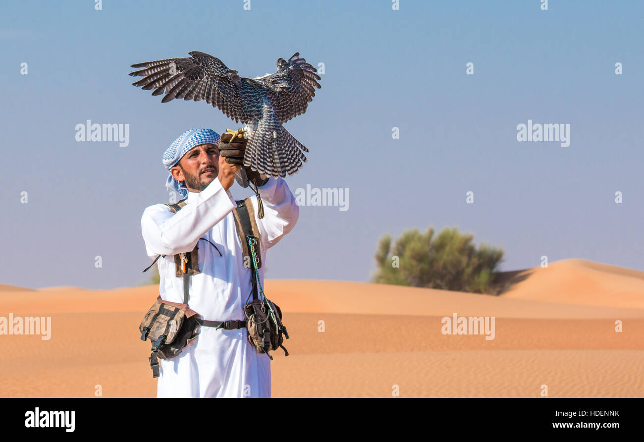 Man falcon arab hi-res stock photography and images - Alamy