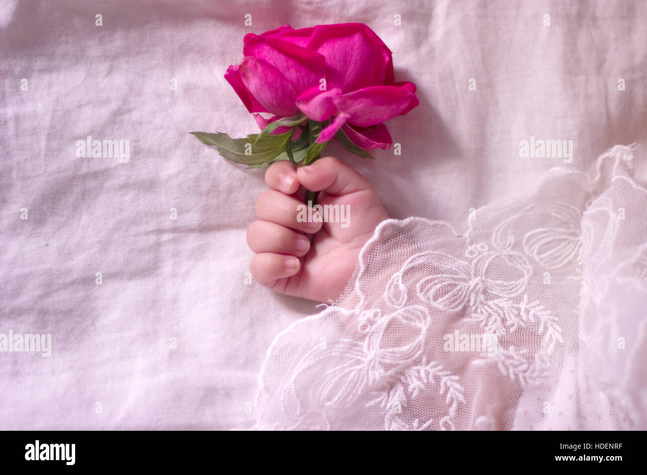 flower , baby hand Stock Photo - Alamy