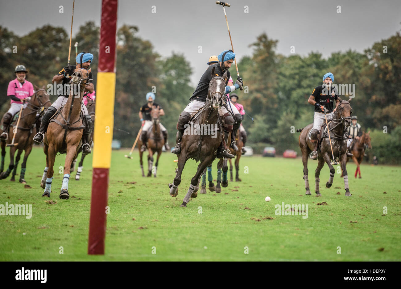 Polo game india hi-res stock photography and images - Alamy