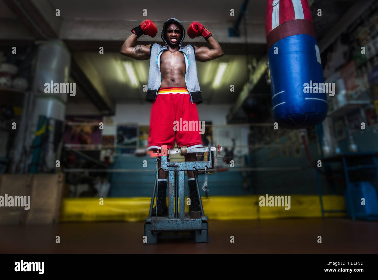 Weighing in athlete hi-res stock photography and images - Alamy