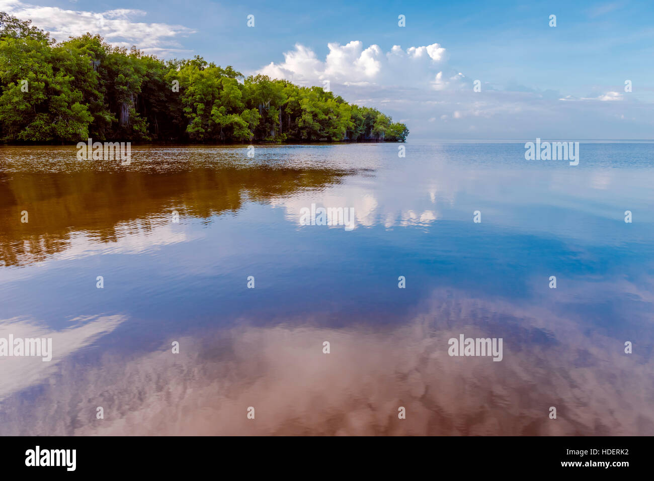 Caroni river trinidad hi-res stock photography and images - Alamy