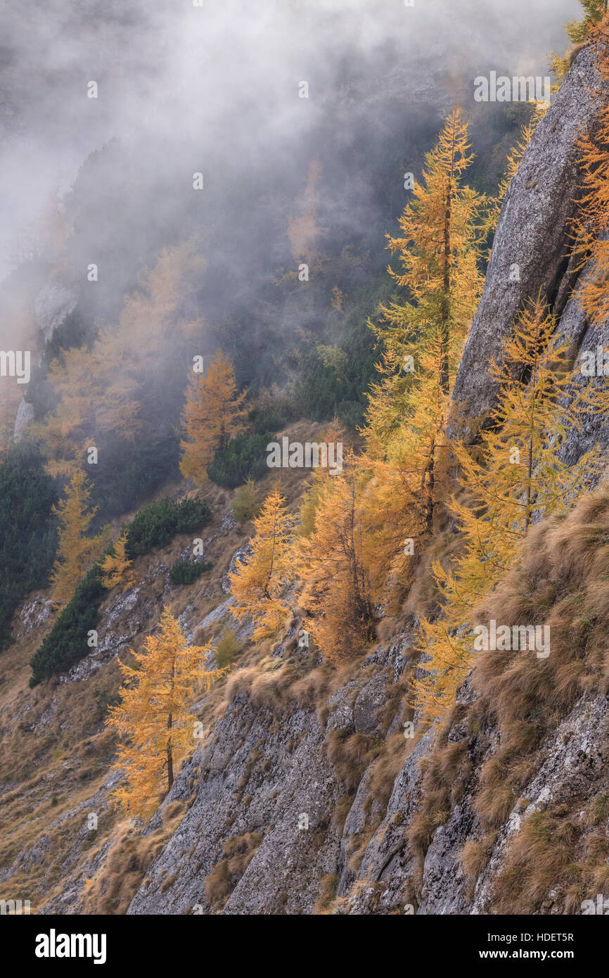 Bucegi Mountains, Romania Stock Photo - Alamy