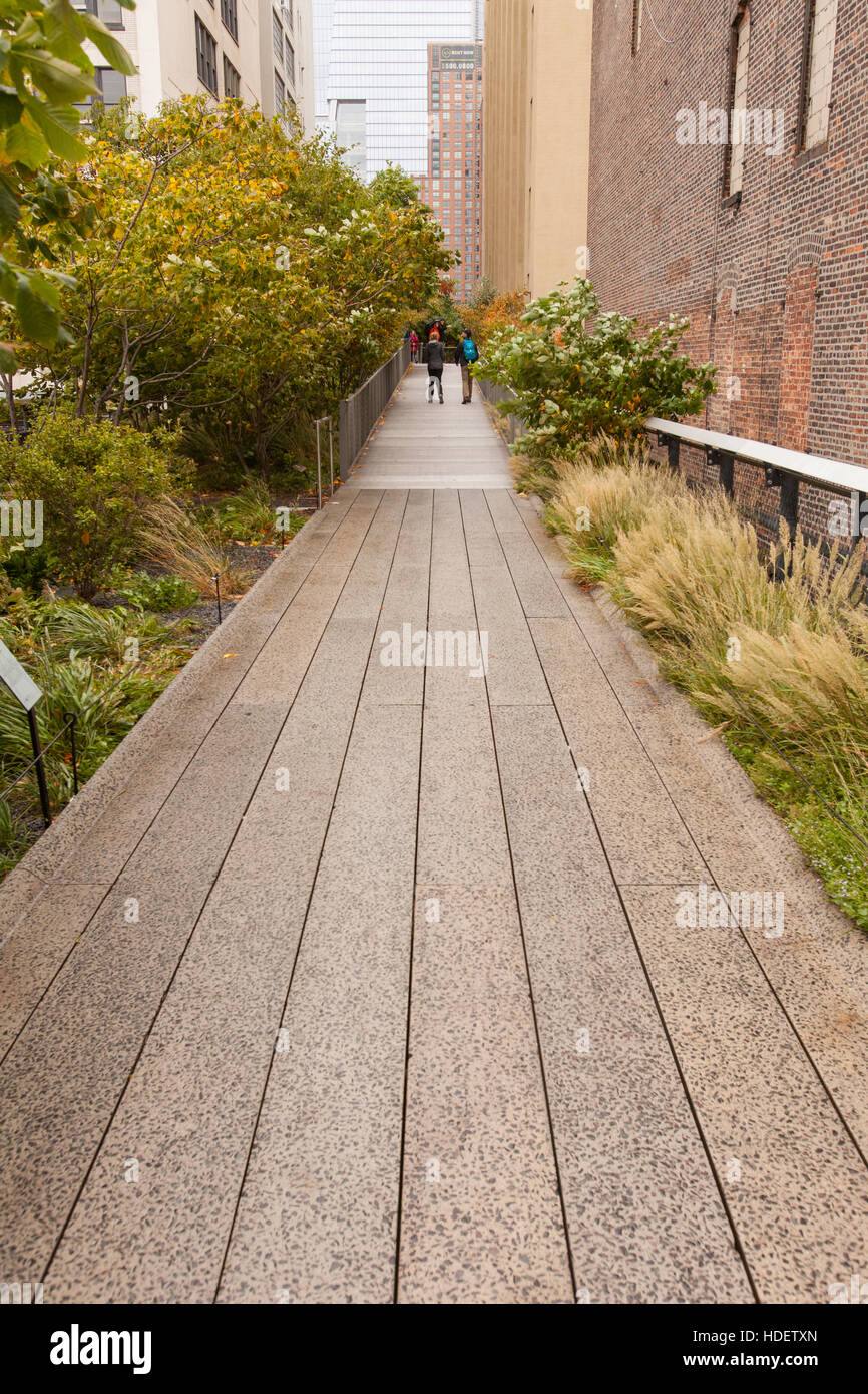 High Line park, Chelsea, New York City, United States of America Stock ...