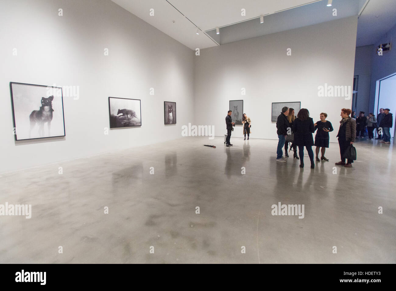 Pace gallery hi-res stock photography and images - Alamy