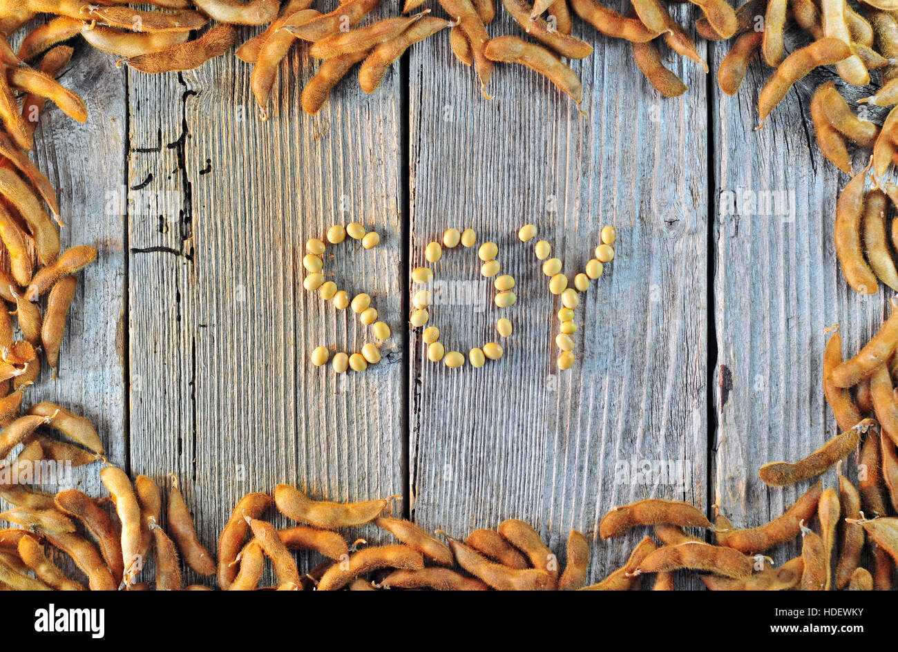 Soybean seed hi-res stock photography and images - Alamy