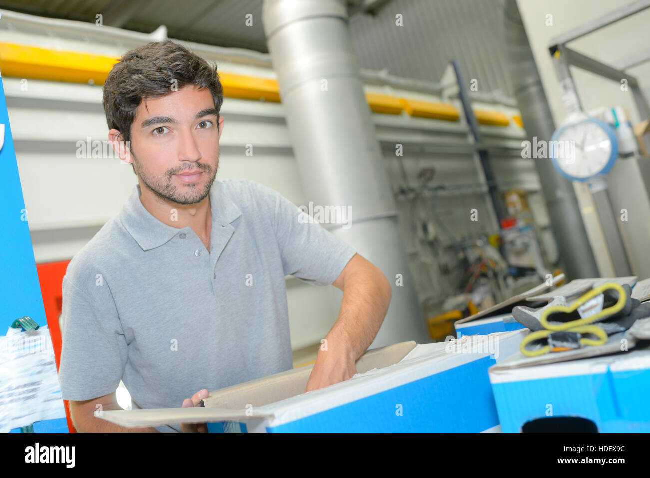 Factory worker packing carton Stock Photo - Alamy
