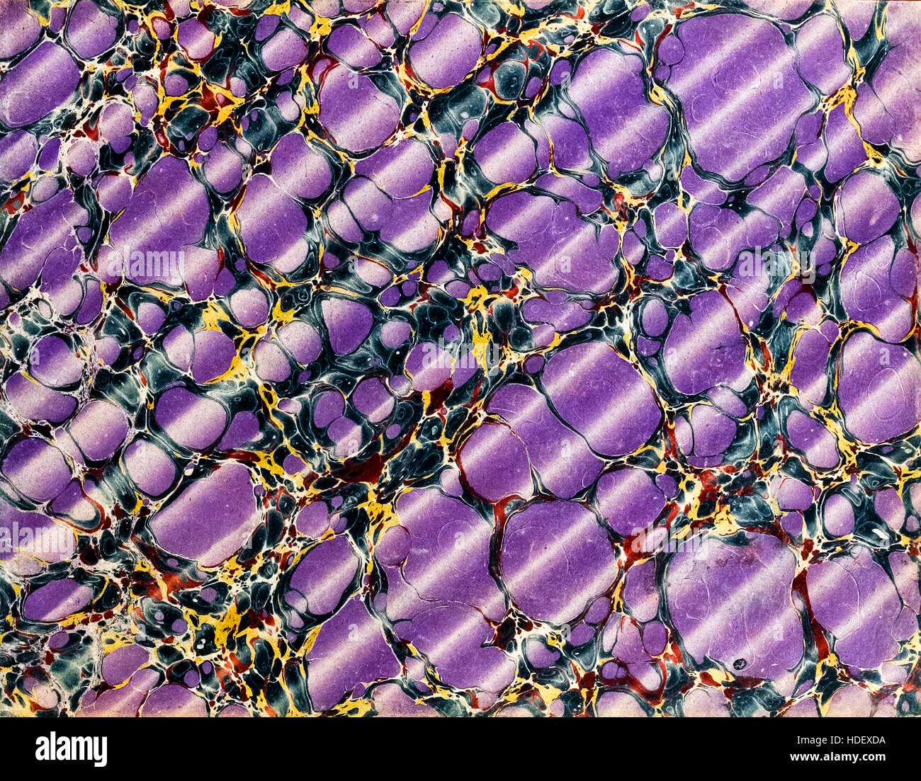 Binding technique hi-res stock photography and images - Alamy