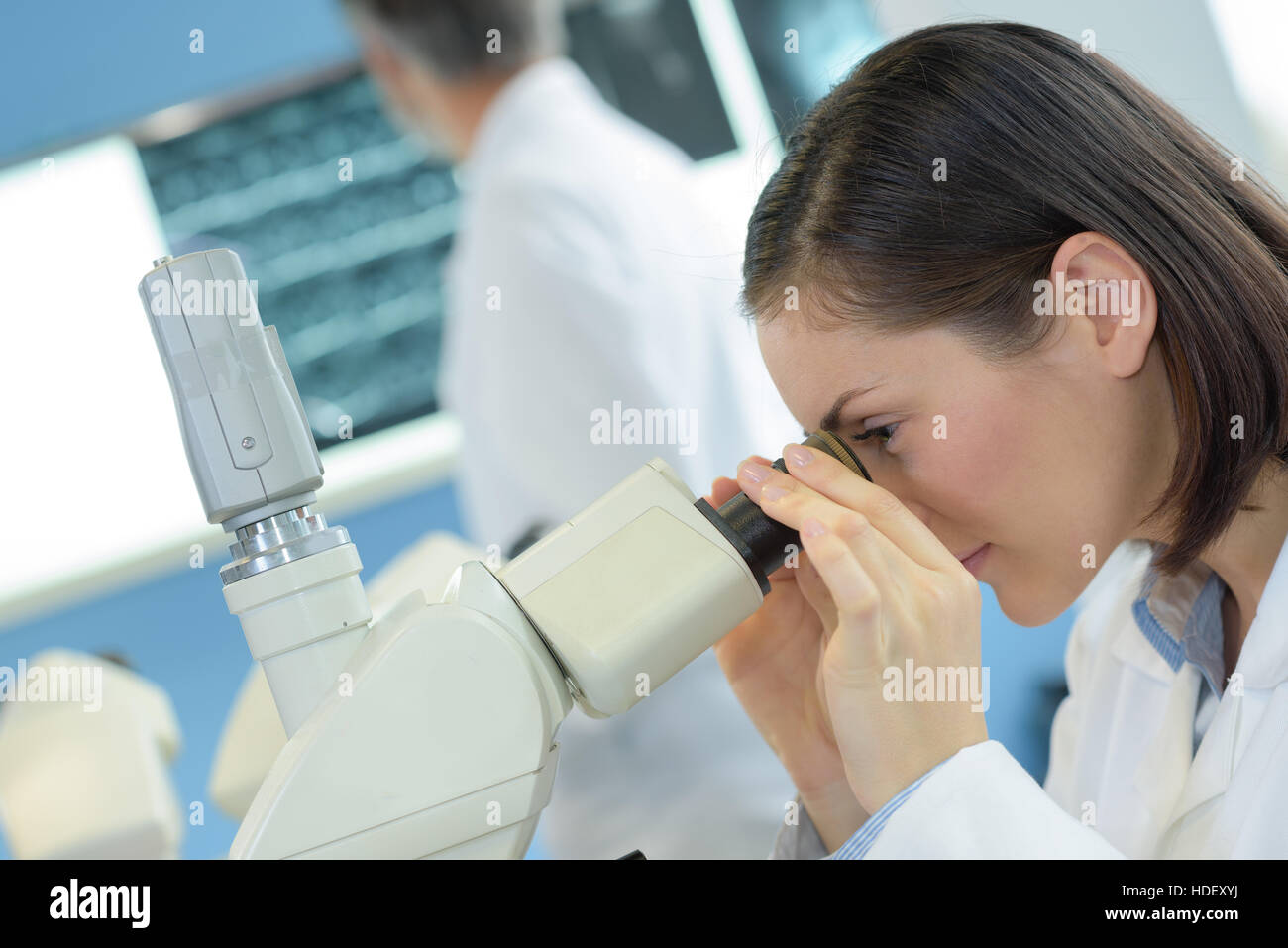 looking through microscope Stock Photo - Alamy