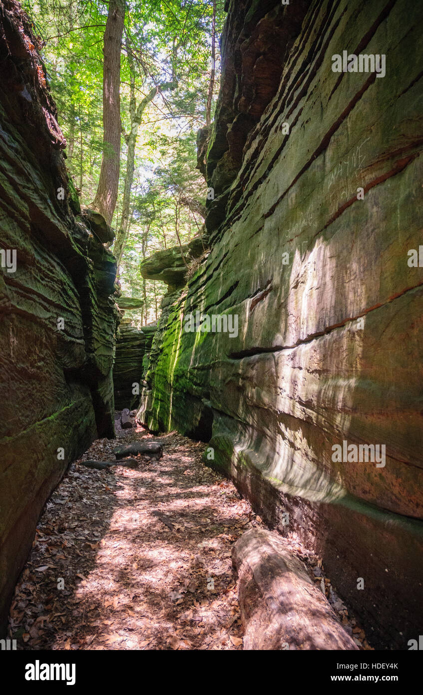 Cleveland national forest hi-res stock photography and images - Alamy