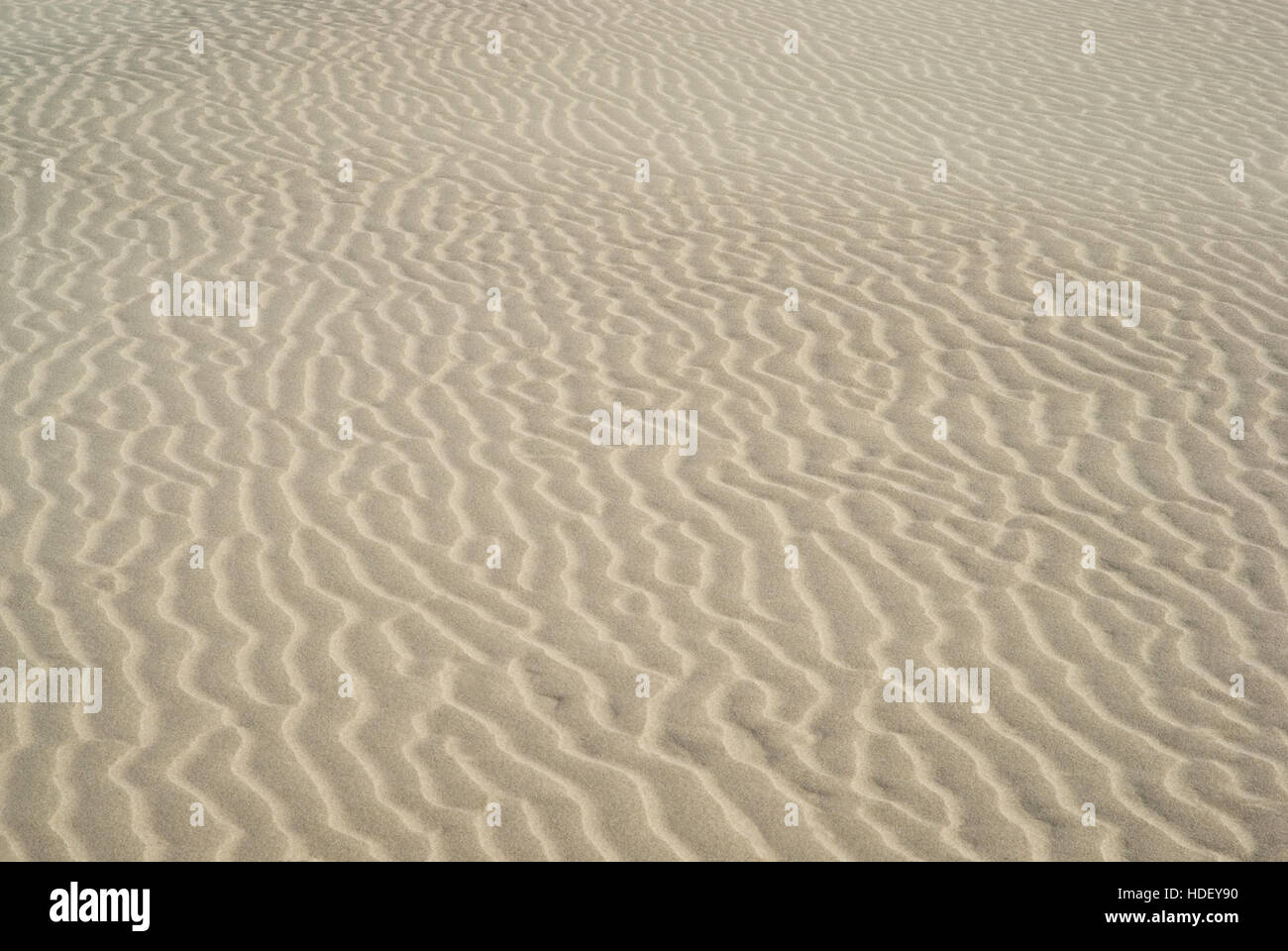 Linear dunes hi-res stock photography and images - Alamy