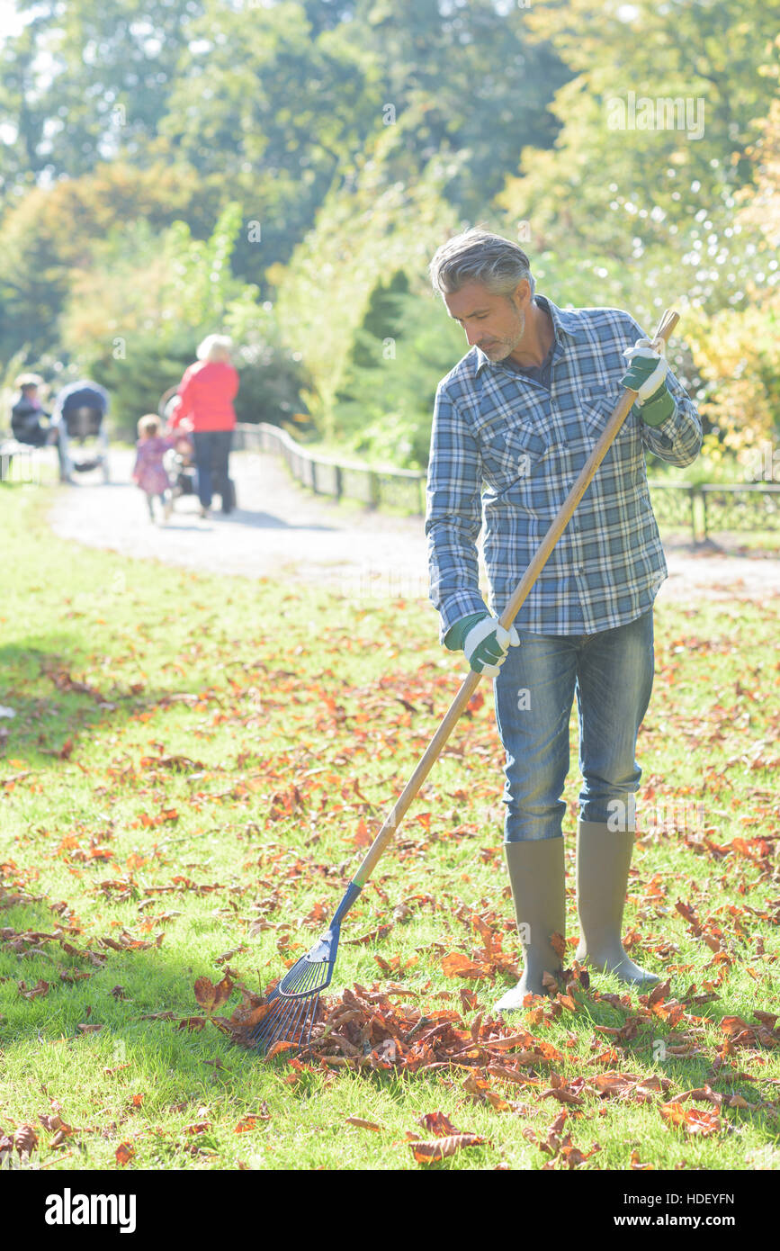 Man raking leaves autumn hi-res stock photography and images - Alamy
