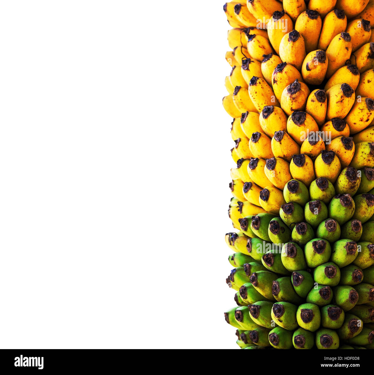 Raw and ripe banana on white background Stock Photo - Alamy