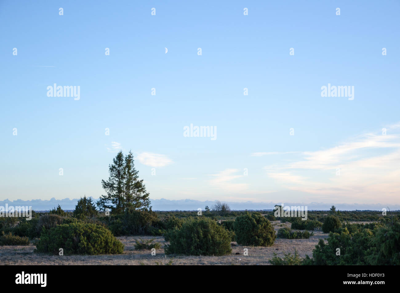 Open plain hi-res stock photography and images - Alamy