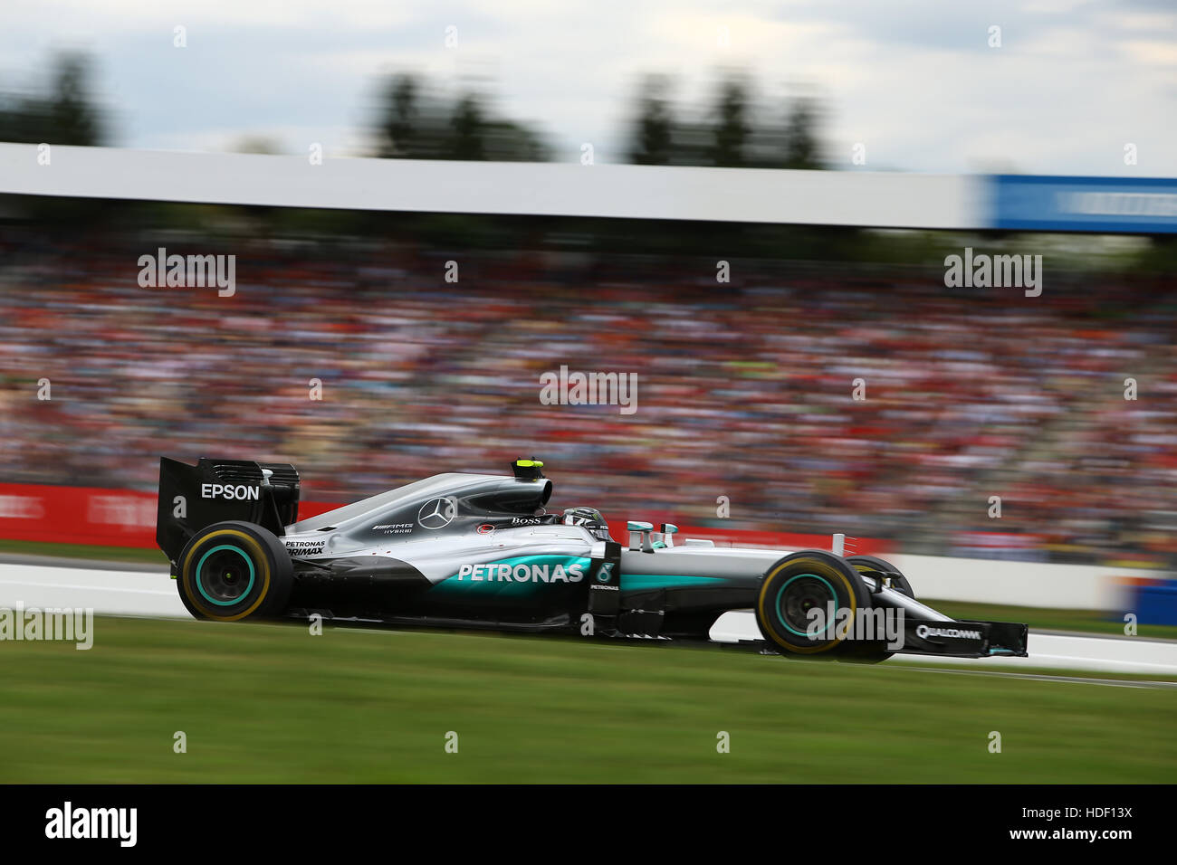 Nico Rosberg, AMG Mercedes Petronas, 2016 F1 World Champion Stock Photo ...