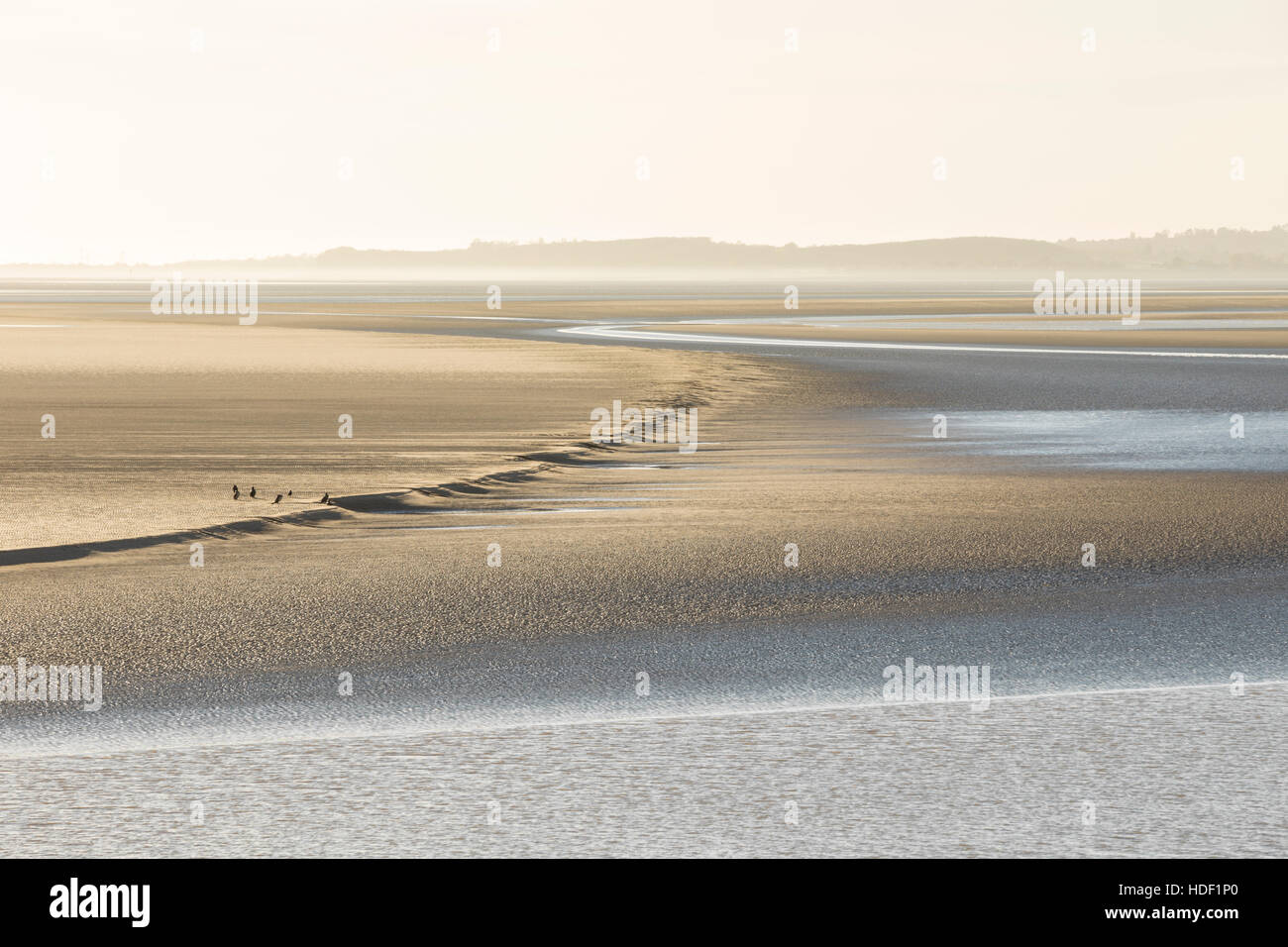 Low tide at the estuary Stock Photo - Alamy