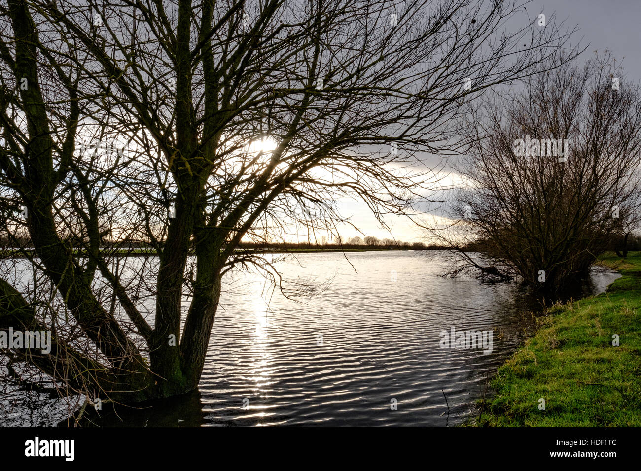 Flooded riverbank after a heavy storm Stock Photo - Alamy