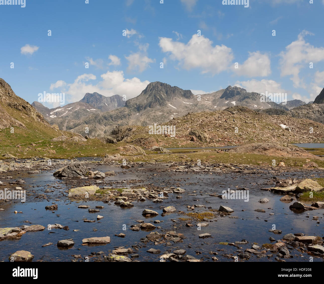 Ibon azul hi-res stock photography and images - Alamy