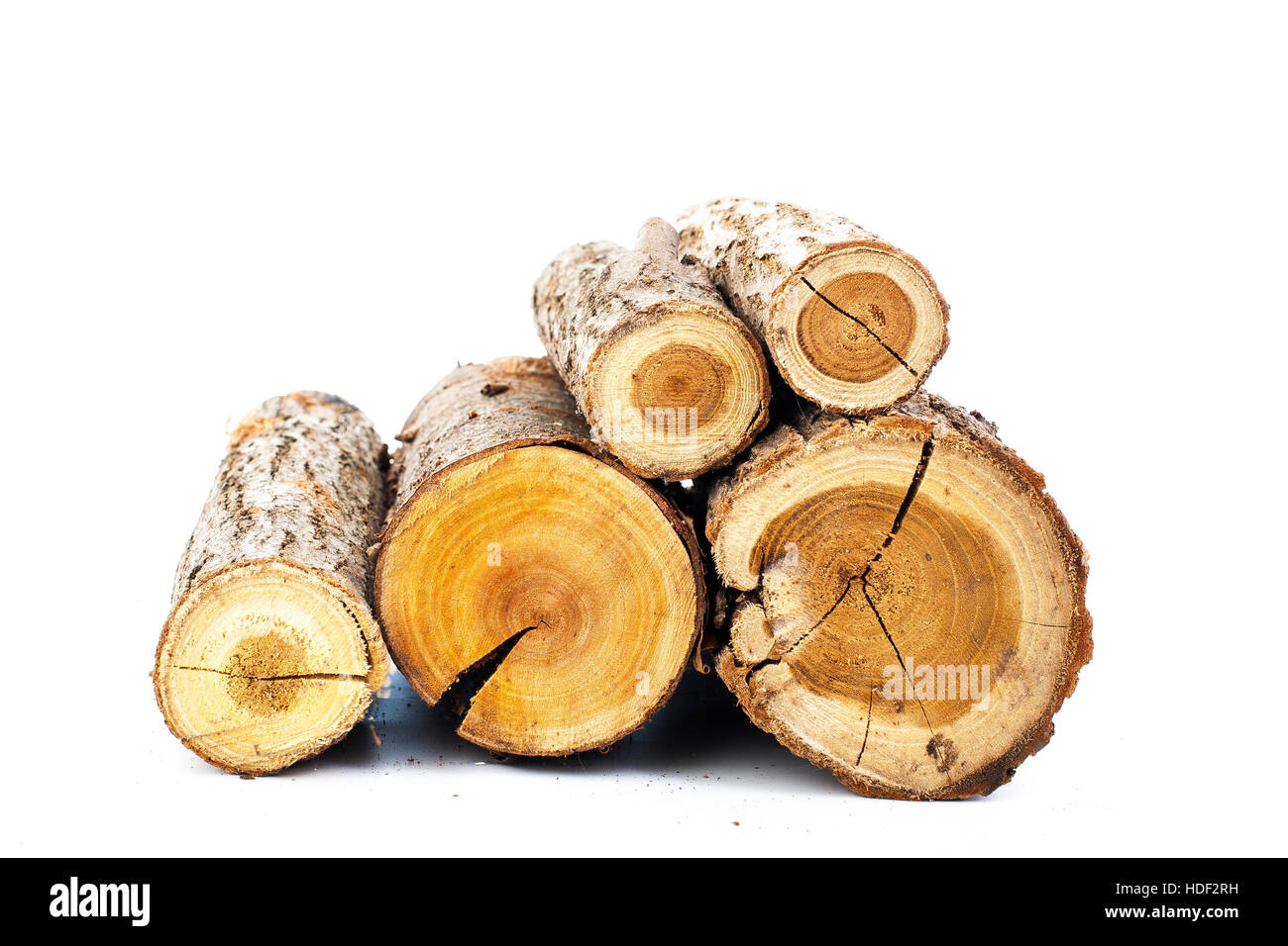 Pine logs on white background. Studio photo. Split wood. Oak tree for ...