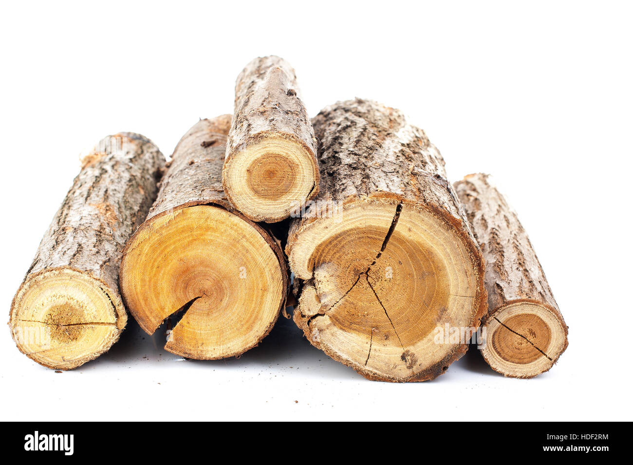 Pine logs on white background. Studio photo. Split wood. Oak tree for ...