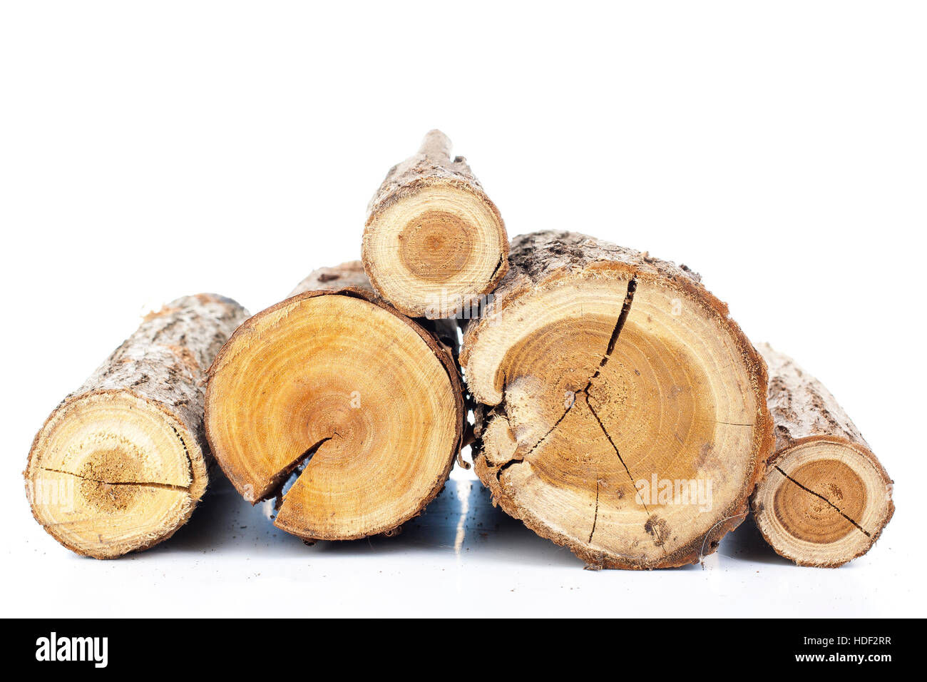 Pine logs on white background. Studio photo. Split wood. Oak tree for ...