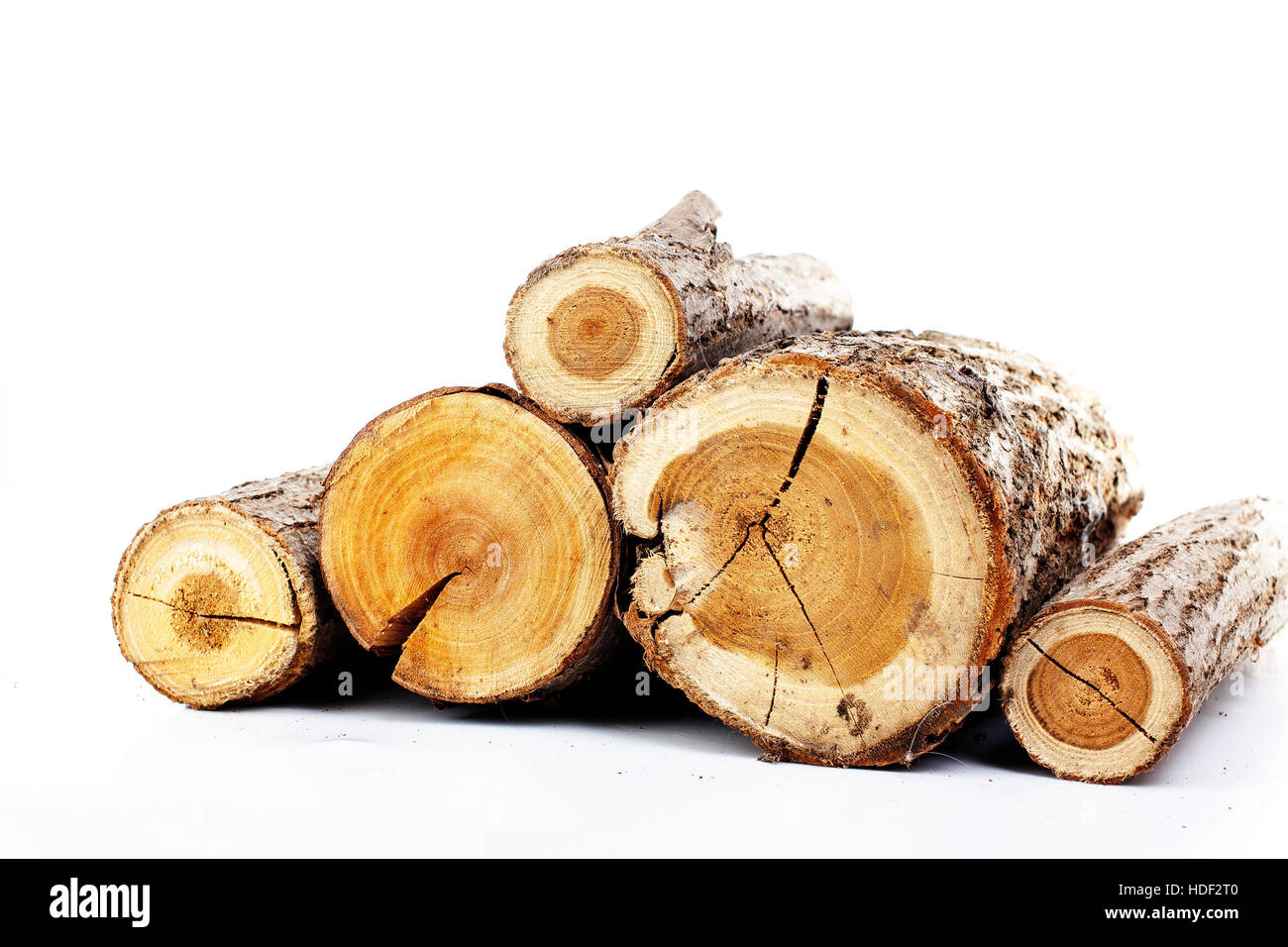 Pine logs on white background. Studio photo. Split wood. Oak tree for ...