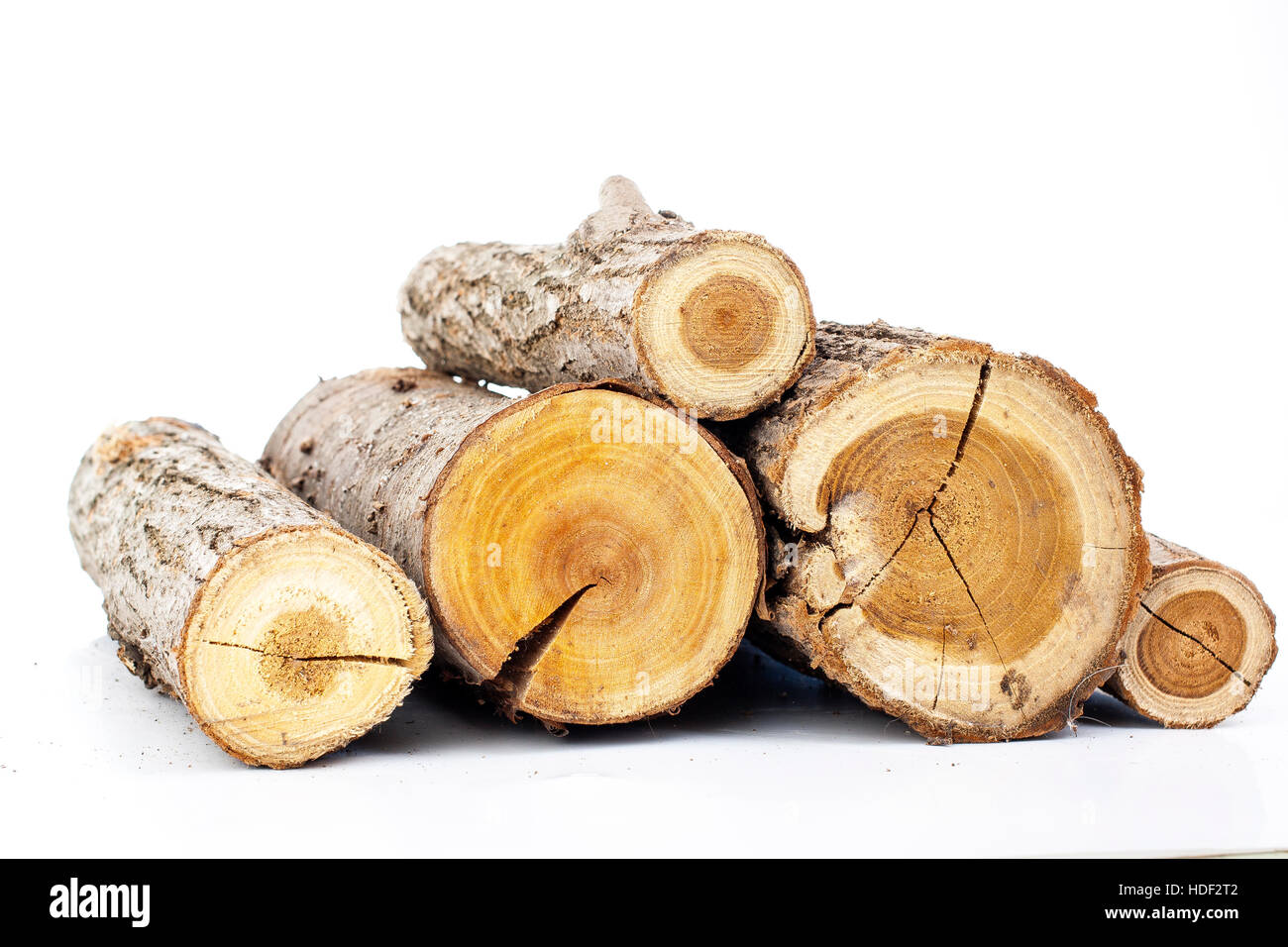 Pine logs on white background. Studio photo. Split wood. Oak tree for ...