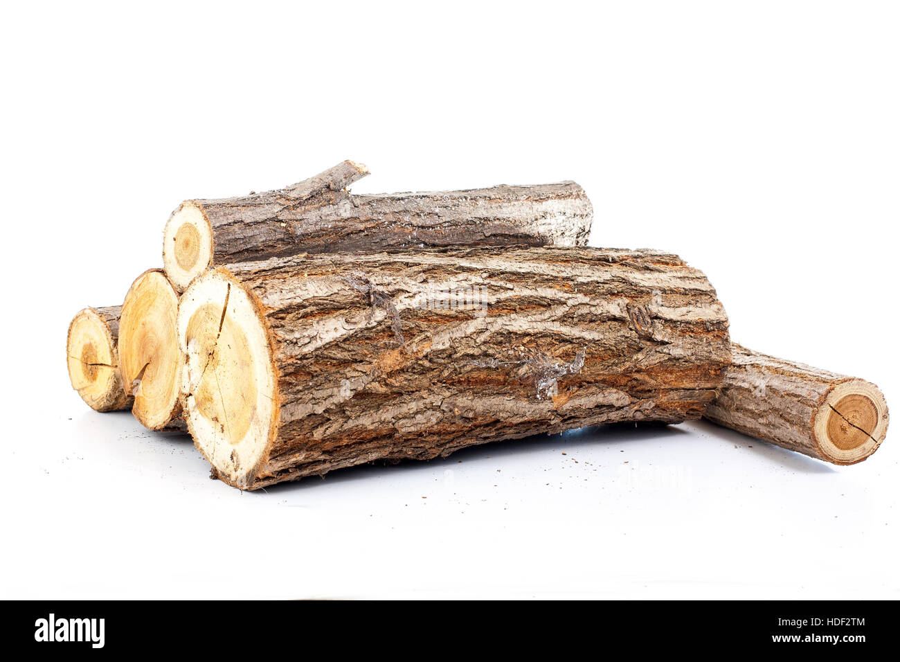 Pine logs on white background. Studio photo. Split wood. Oak tree for ...
