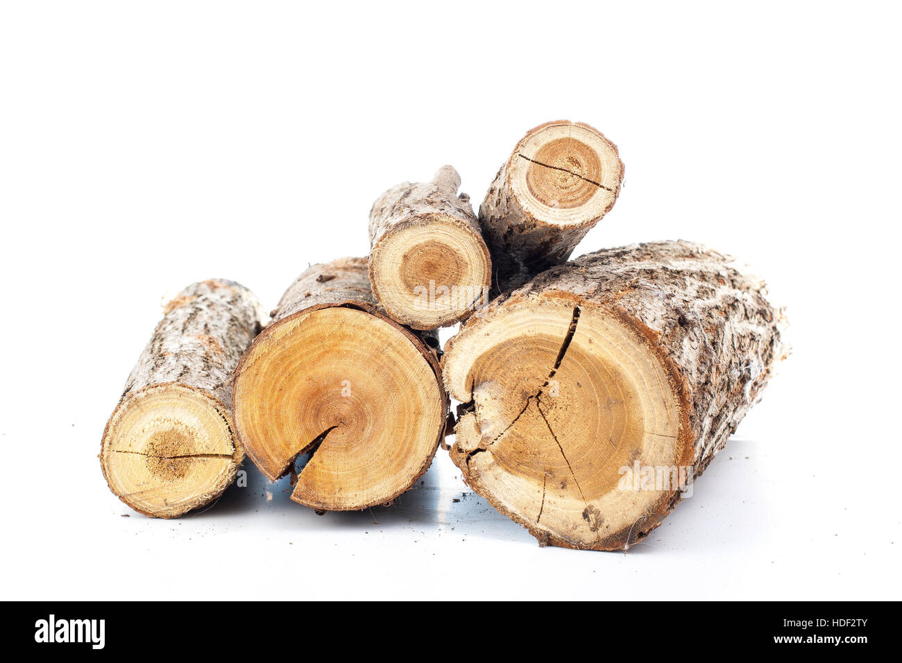 Pine logs on white background. Studio photo. Split wood. Oak tree for ...
