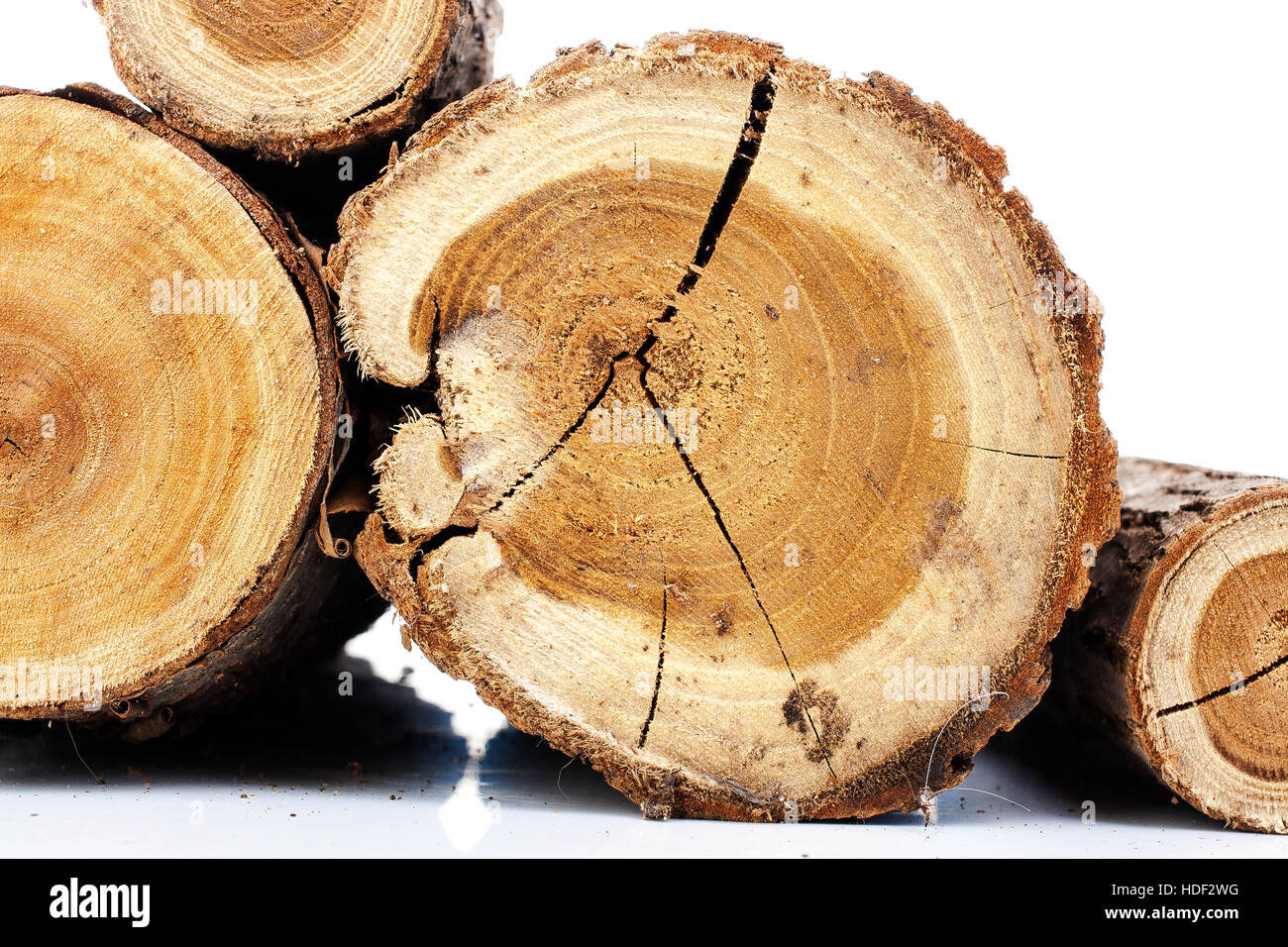 Pine logs on white background. Studio photo. Split wood. Oak tree for ...