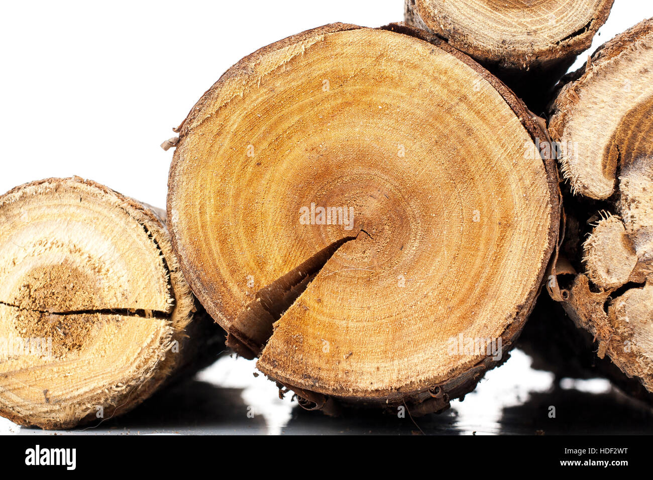 Pine logs on white background. Studio photo. Split wood. Oak tree for ...