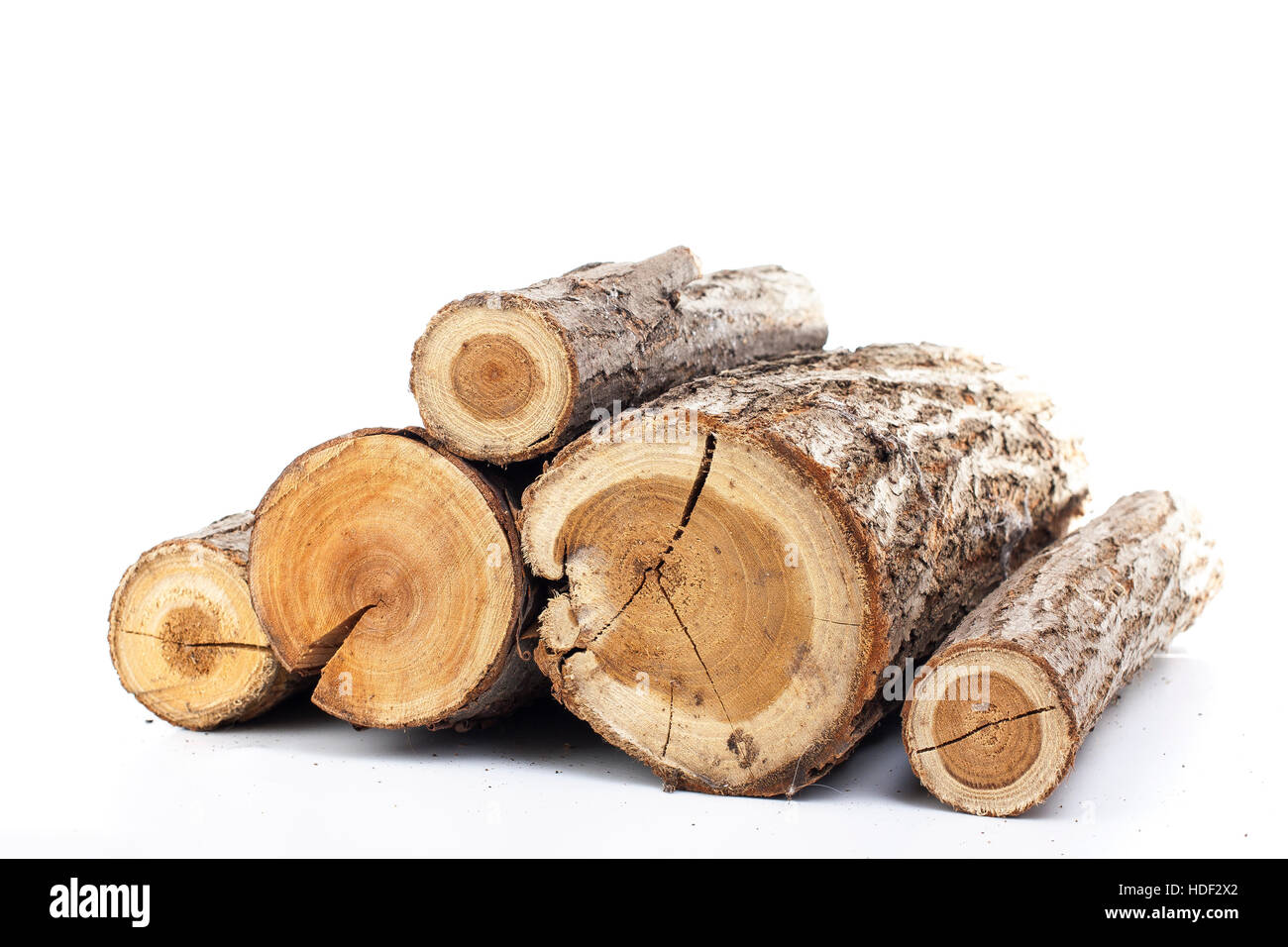 Pine logs on white background. Studio photo. Split wood. Oak tree for ...