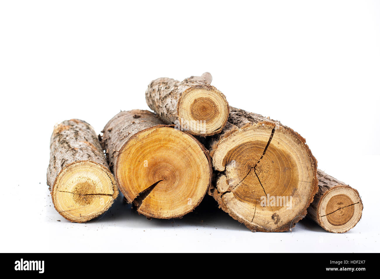 Oak Tree Wood Logs White Oak Logs