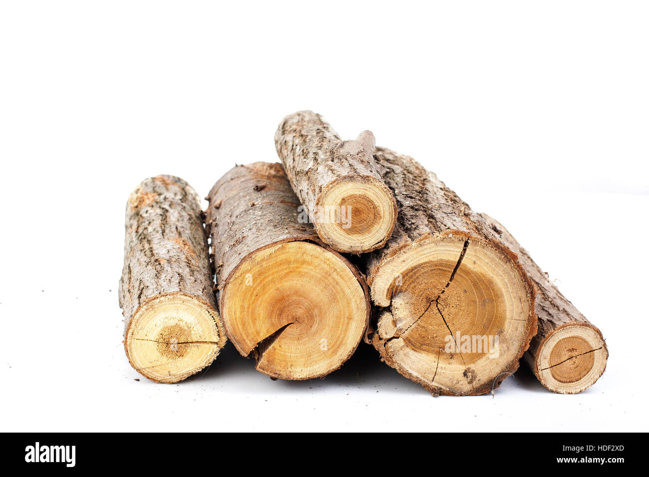 Pine logs on white background. Studio photo. Split wood. Oak tree for ...