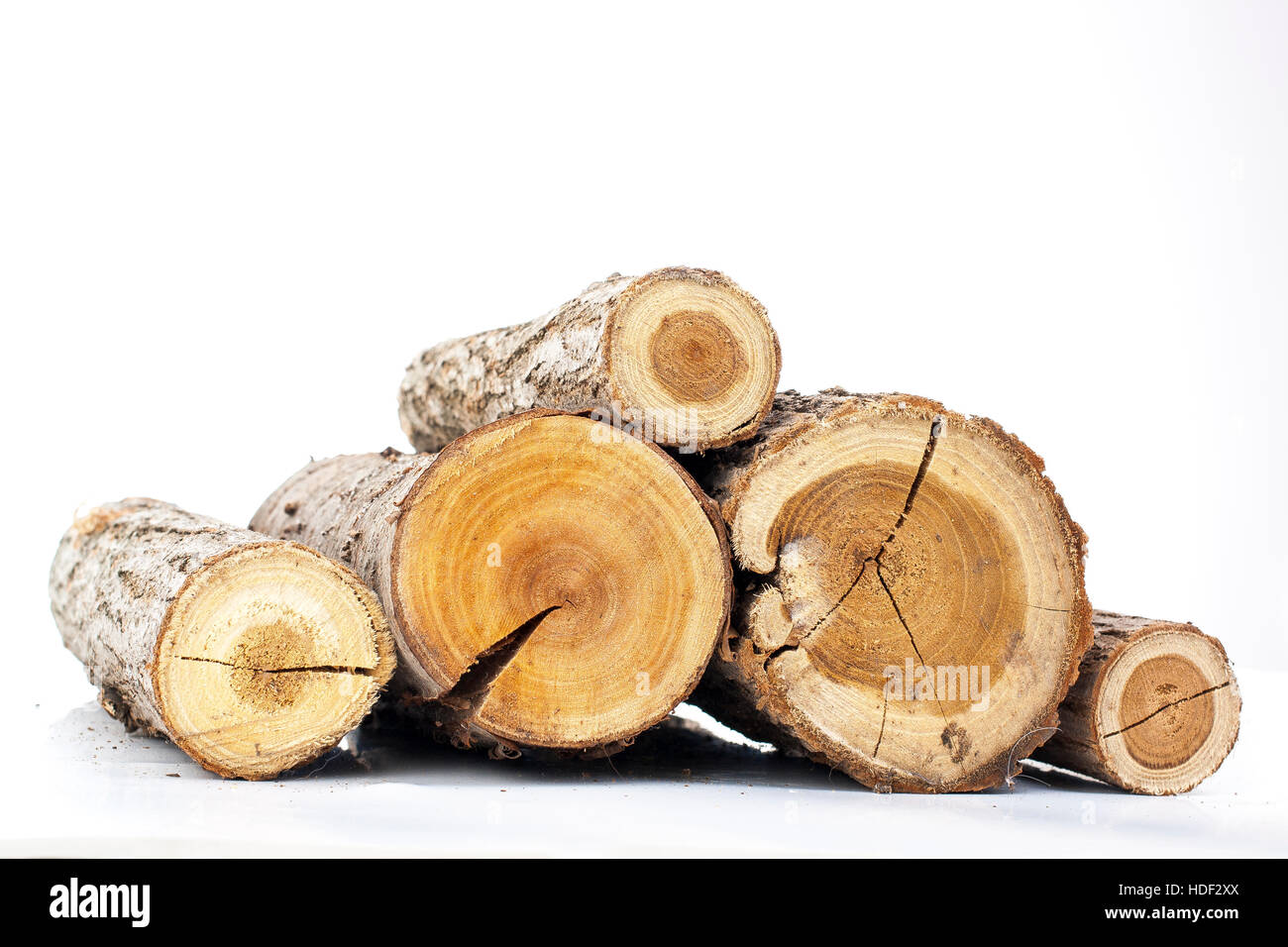 Pine logs on white background. Studio photo. Split wood. Oak tree for ...