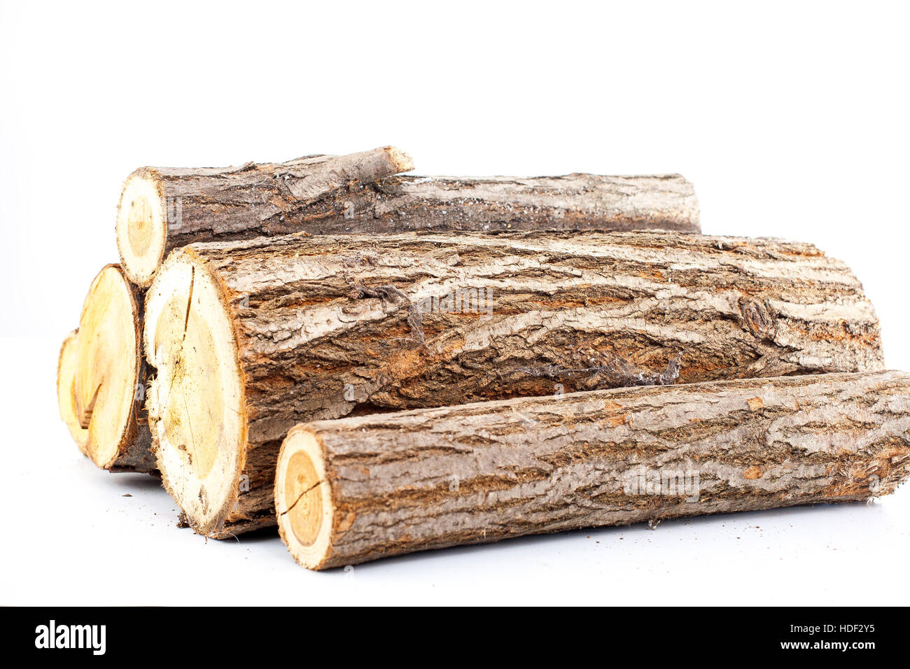 Pine logs on white background. Studio photo. Split wood. Oak tree for ...