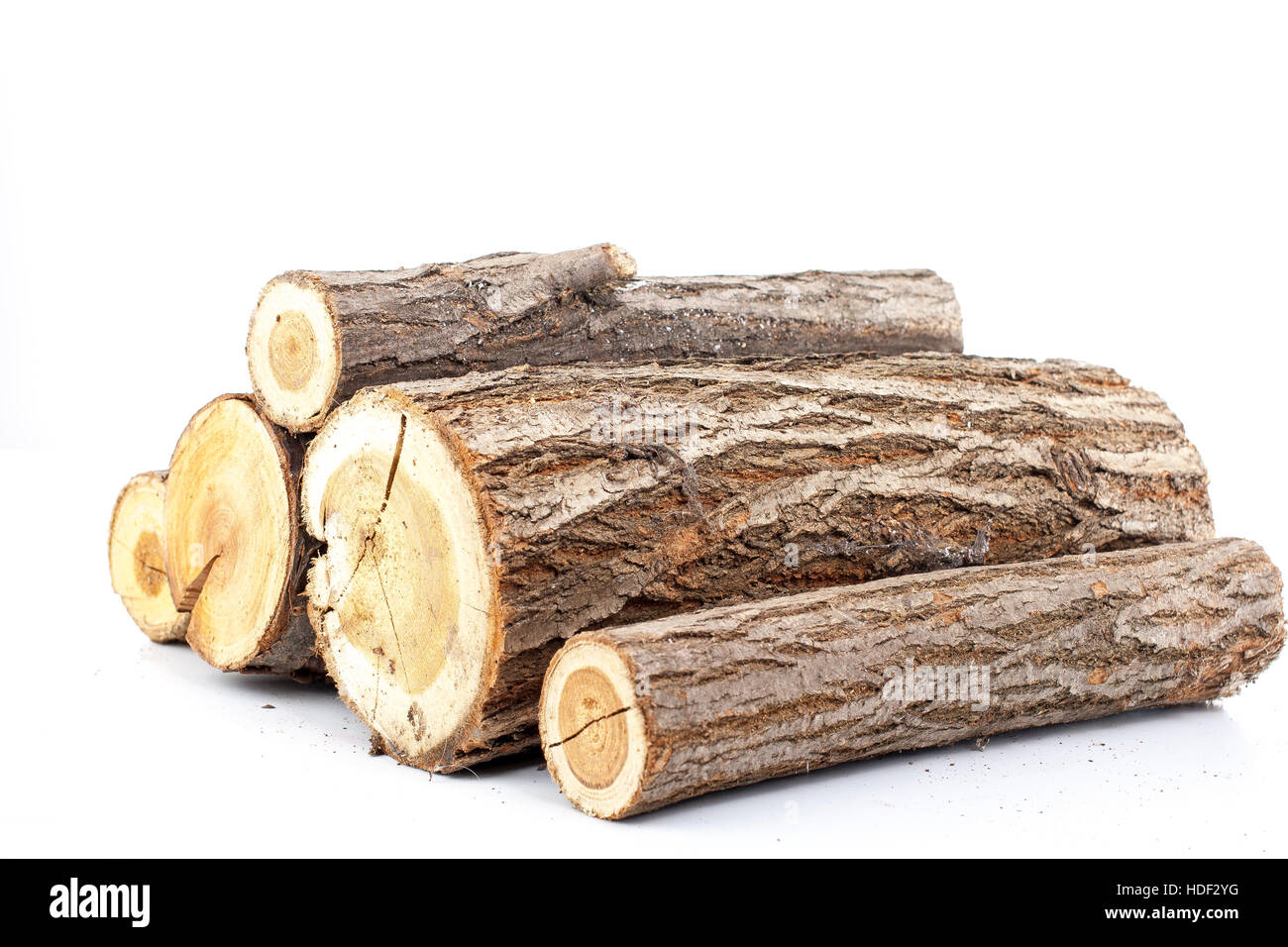 Pine logs on white background. Studio photo. Split wood. Oak tree for ...