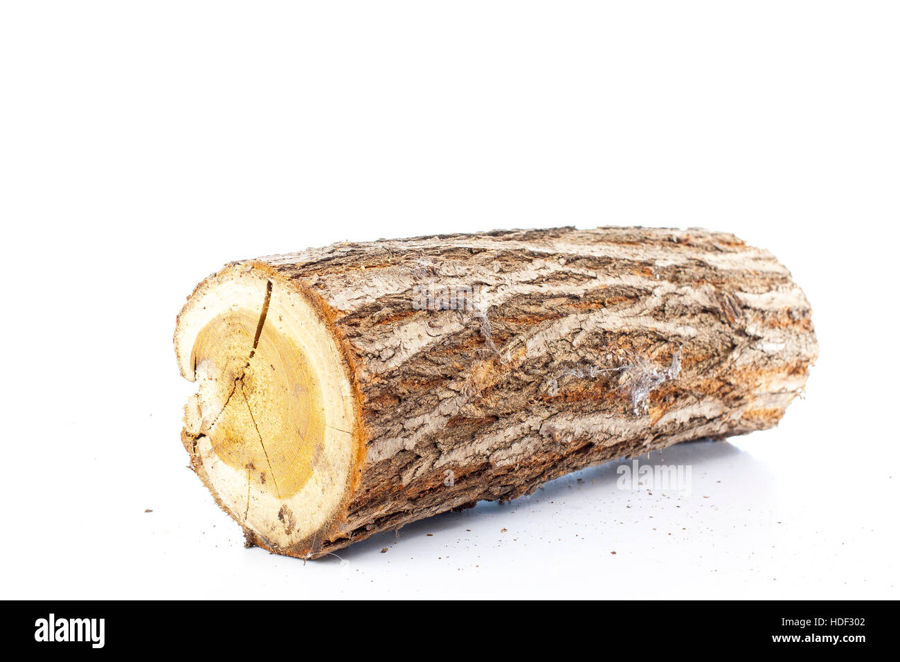 Pine logs on white background. Studio photo. Split wood. Oak tree for ...