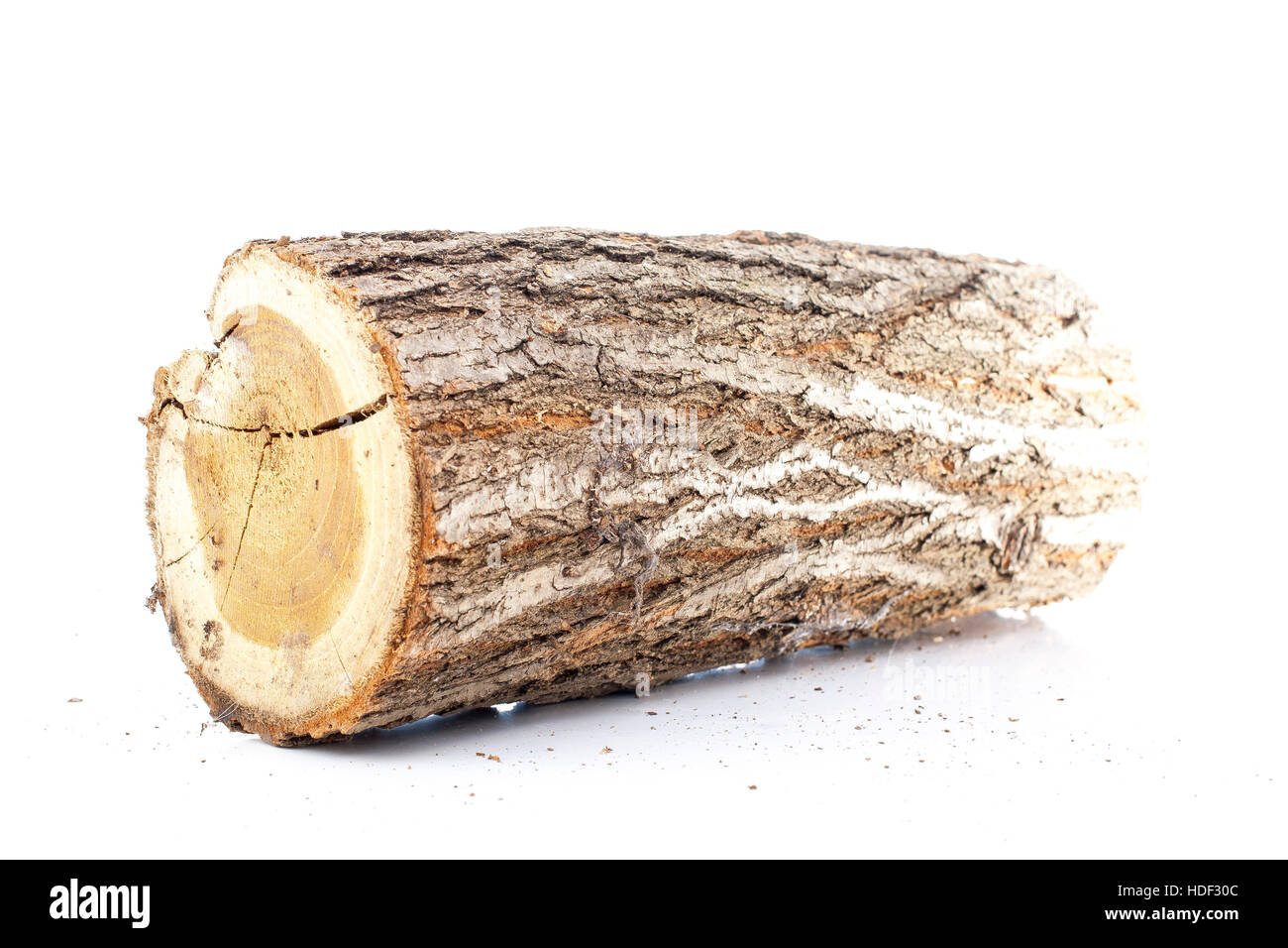Pine logs on white background. Studio photo. Split wood. Oak tree for ...