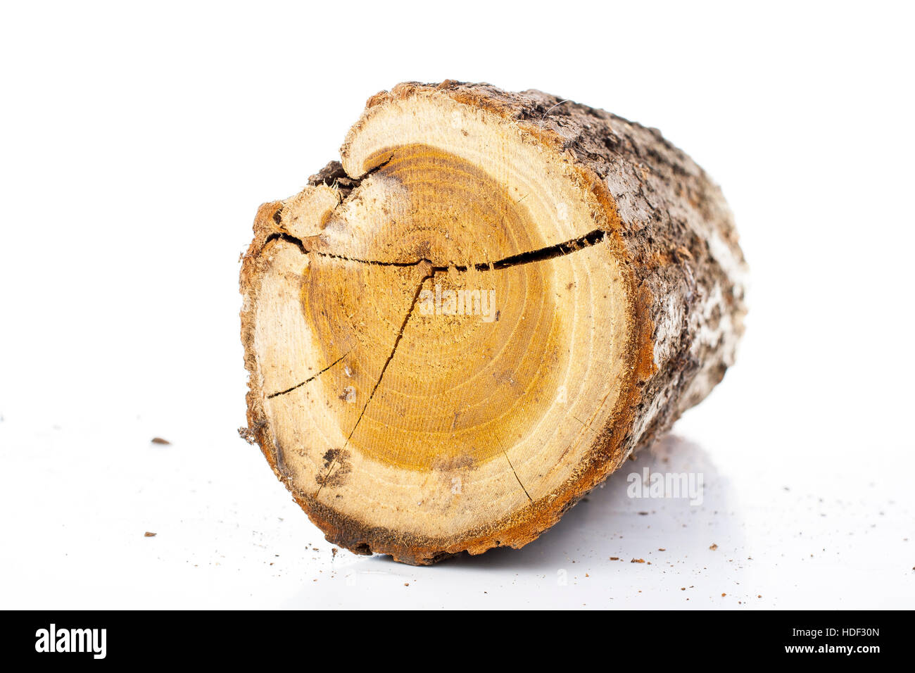 Pine logs on white background. Studio photo. Split wood. Oak tree for ...
