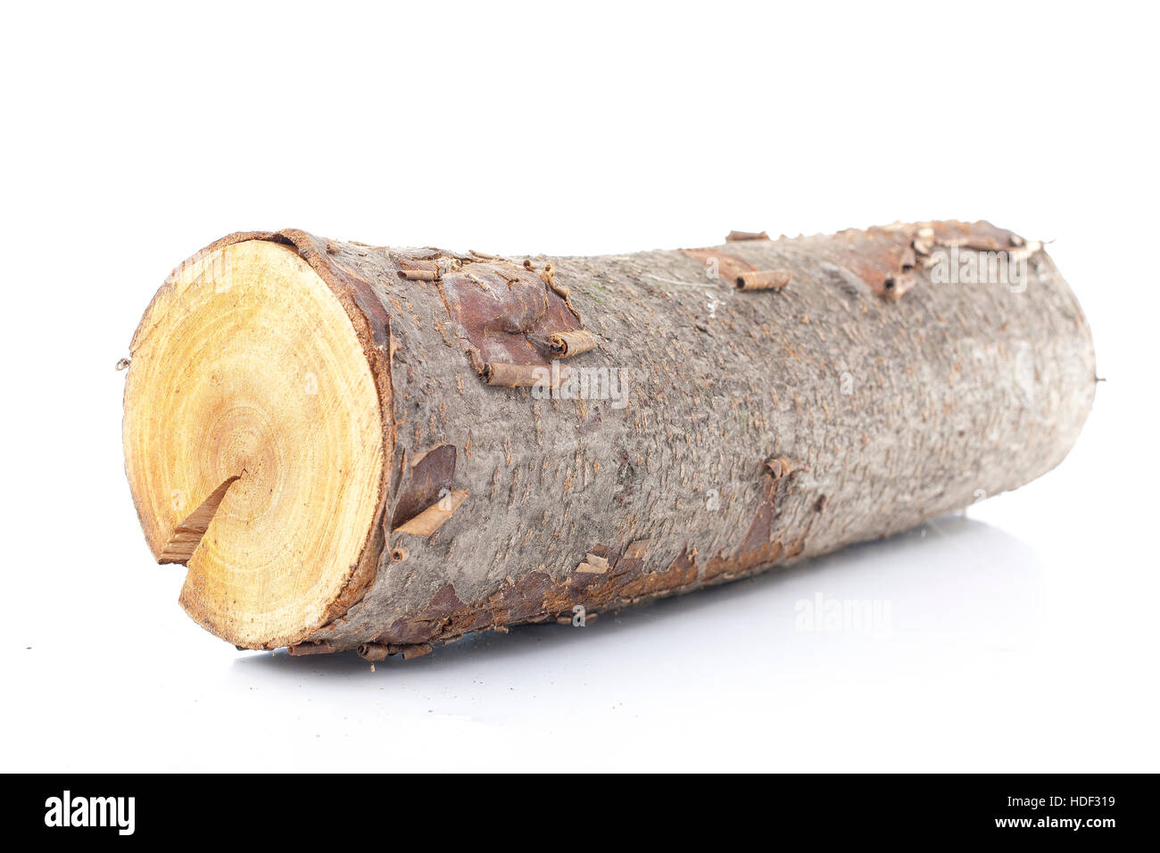 Pine logs on white background. Studio photo. Split wood. Oak tree for ...