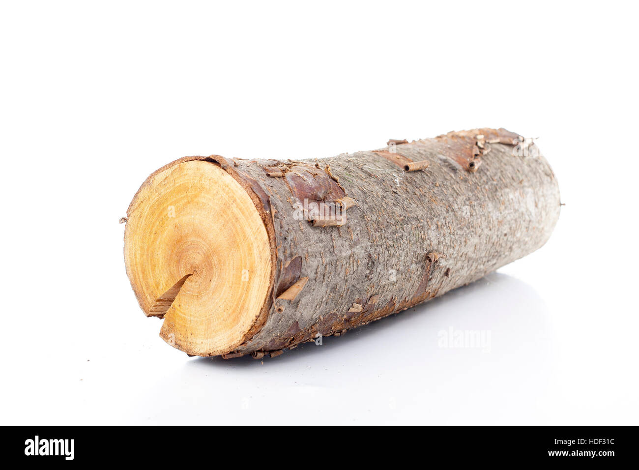 Pine logs on white background. Studio photo. Split wood. Oak tree for ...