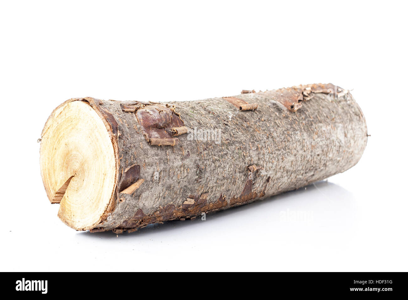 Pine logs on white background. Studio photo. Split wood. Oak tree for ...