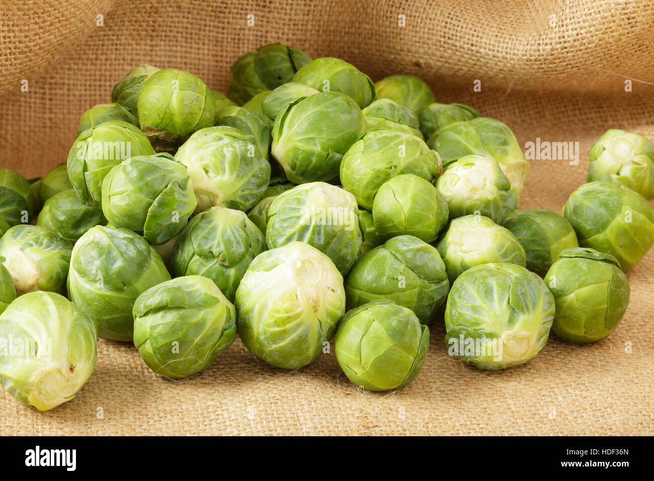 Brussels brussel sprouts hi-res stock photography and images - Alamy
