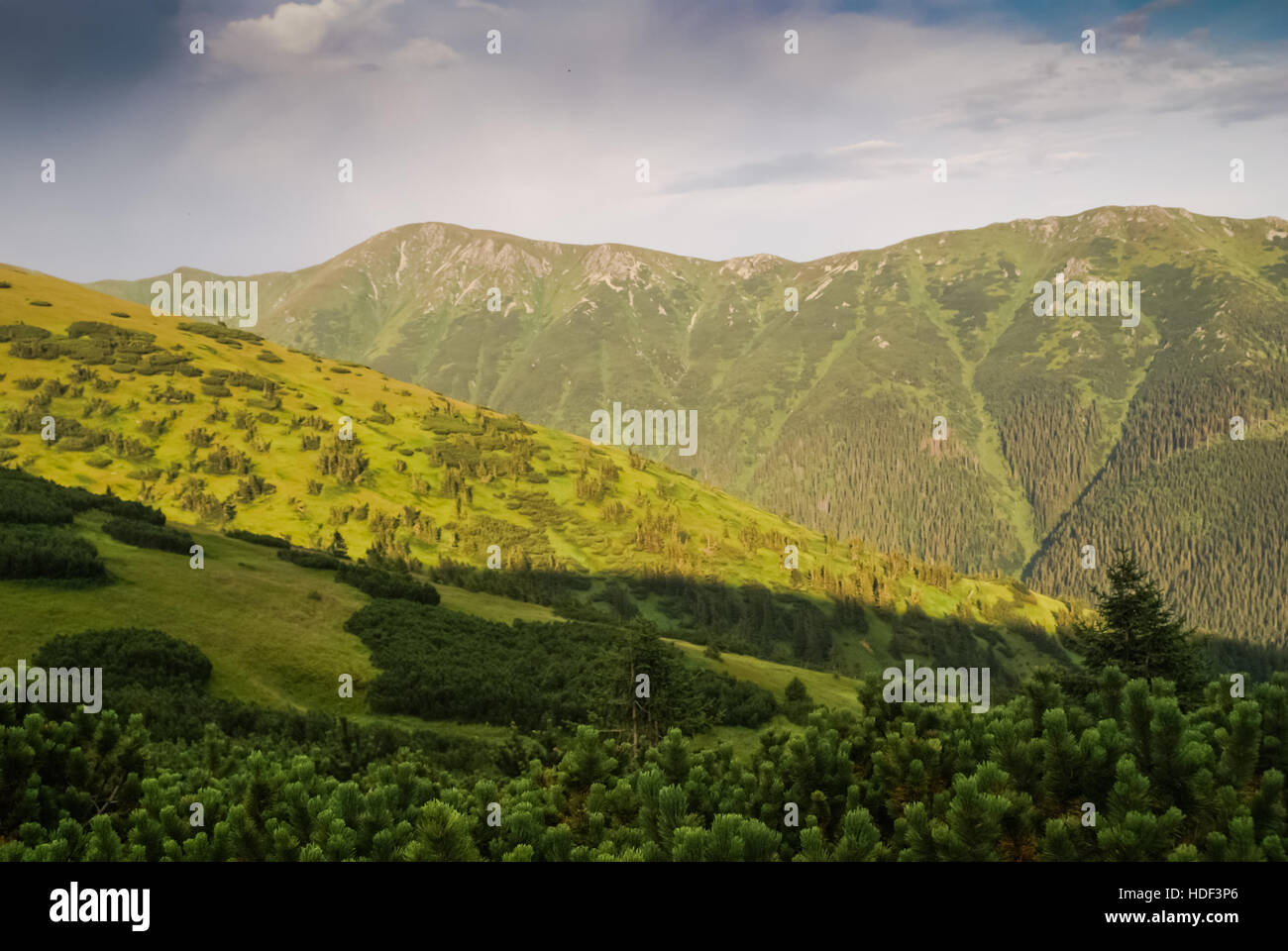 Photo of greenery and mountains near Cutkovska dolina in Ruzomberok ...
