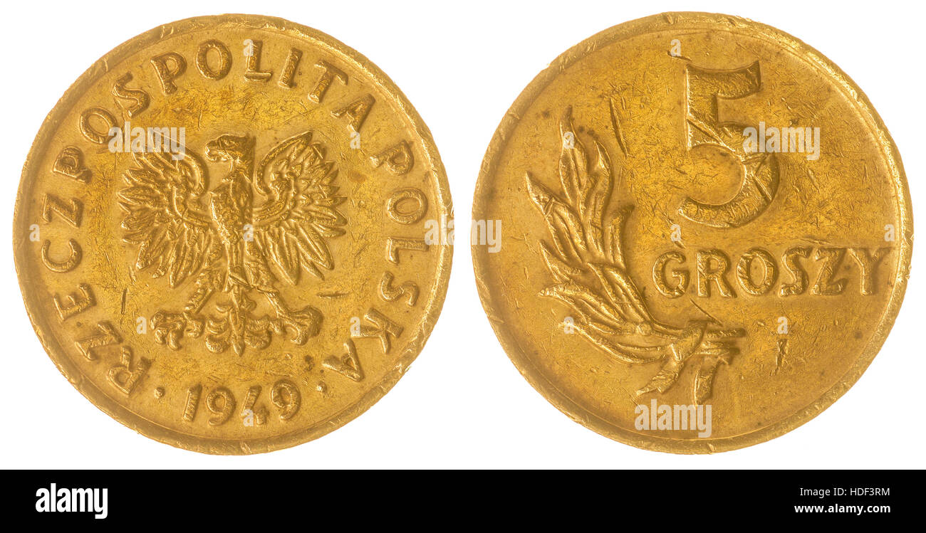 Bronze 5 groszy 1949 coin isolated on white background, Poland Stock ...