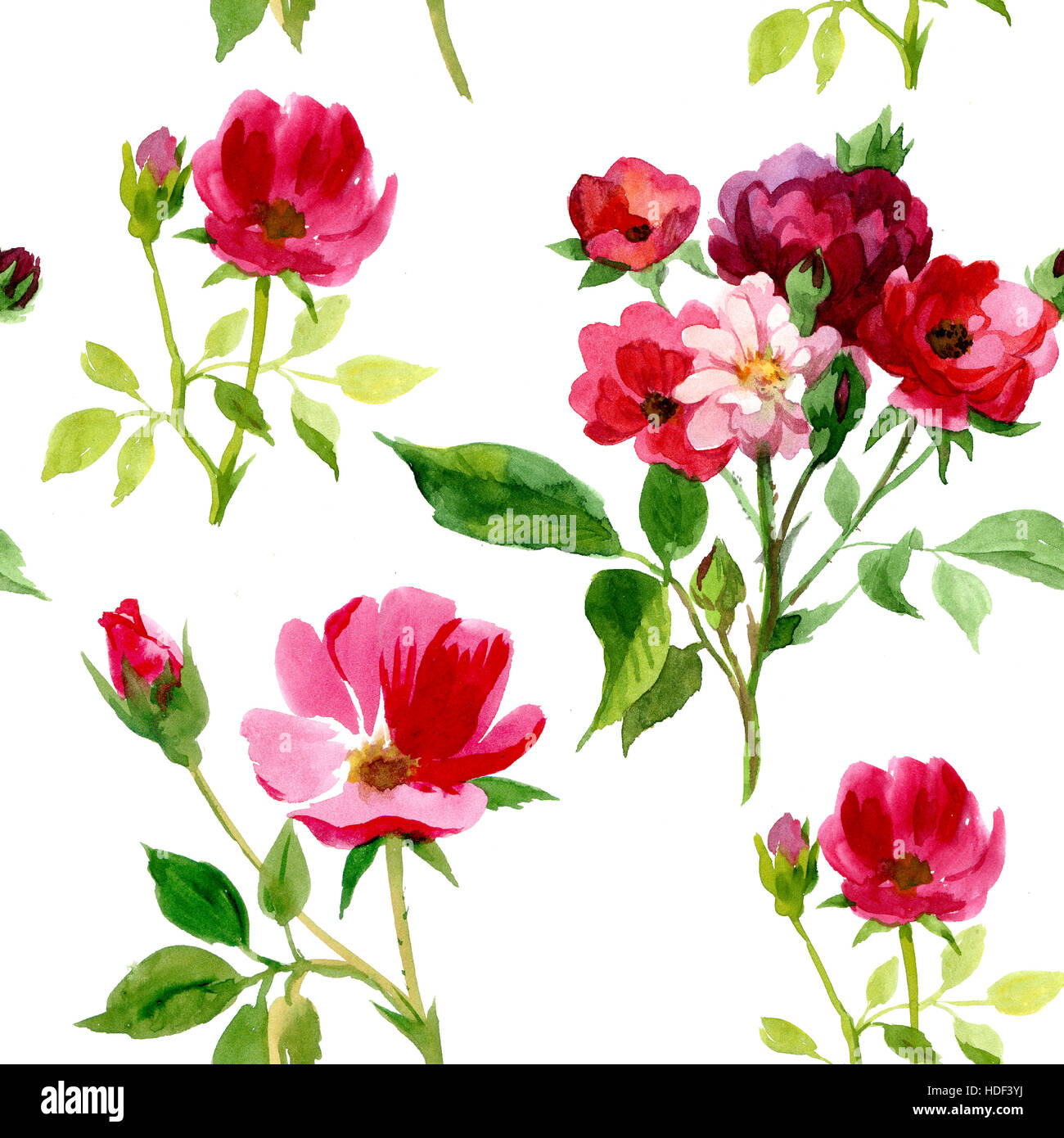 Roses floral bouquet in watercolor Stock Photo - Alamy