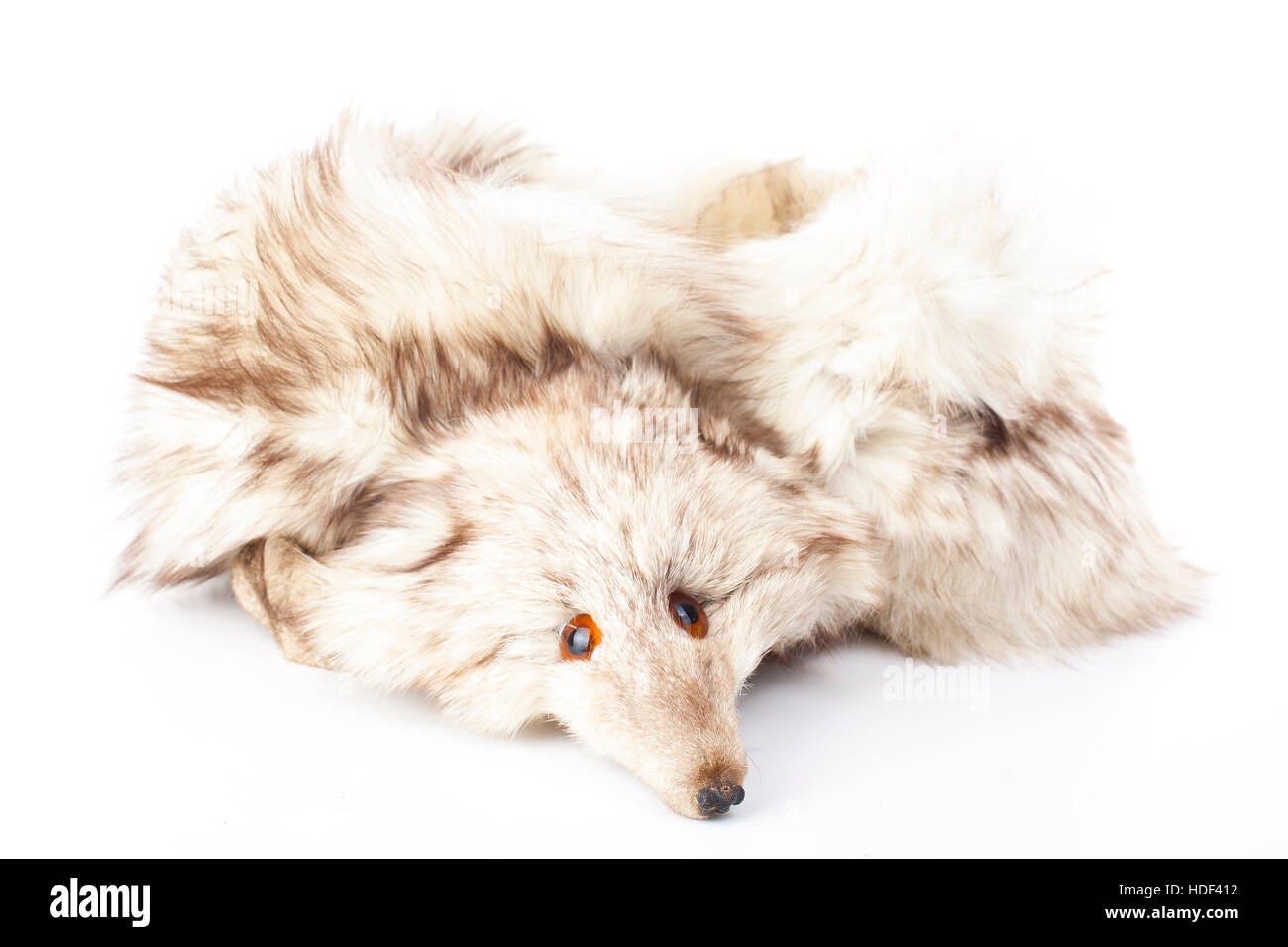 Fox fur concept agains animal cruelty. Silver fox fur isolated on ...