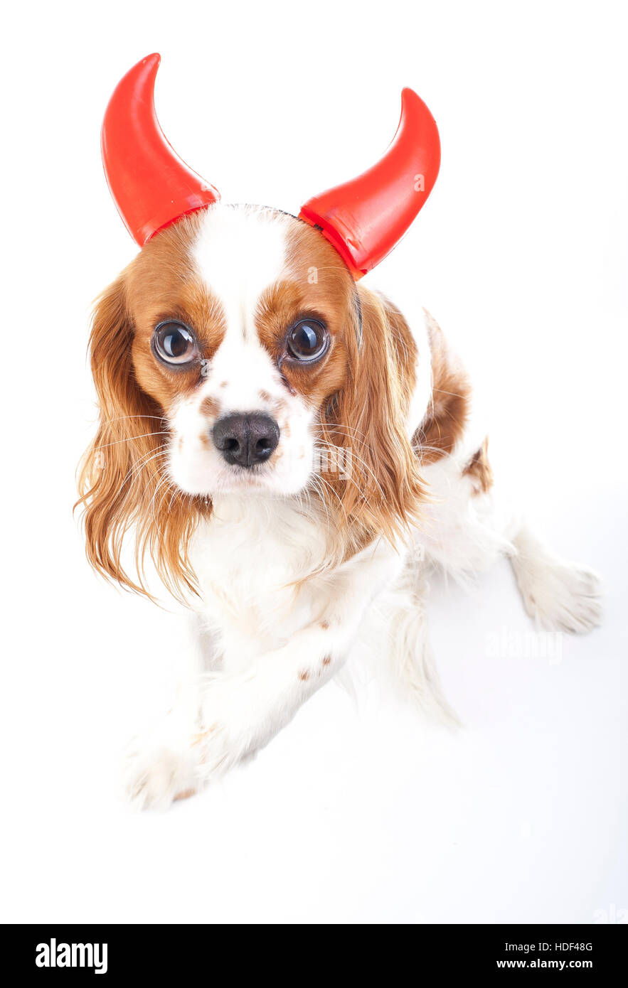 Evil behavior hi-res stock photography and images - Alamy